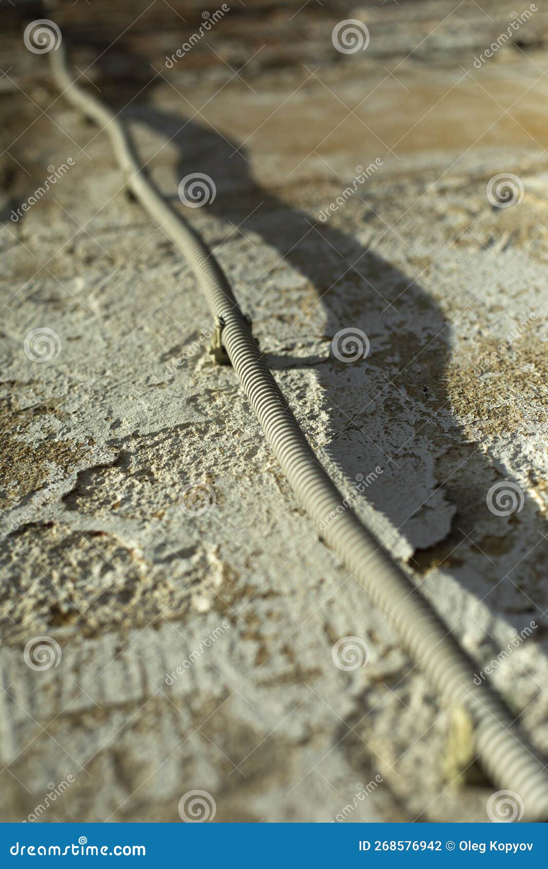 Wire on Wall. Electrical Wiring in Building Stock Photo - Image of ...