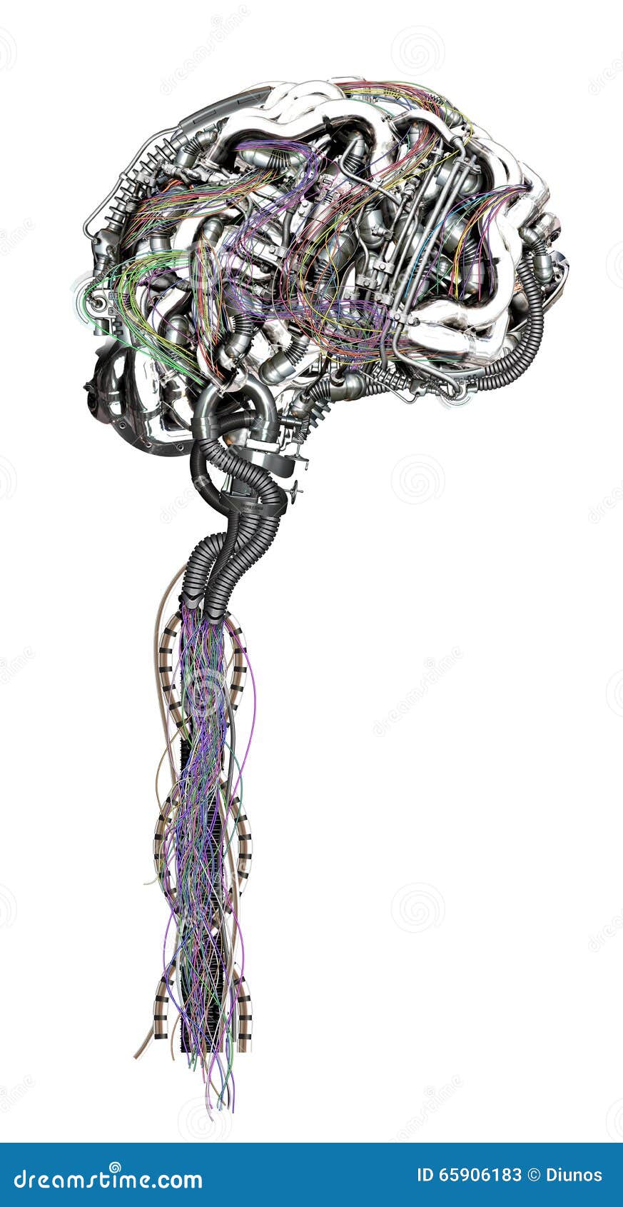 Wired brain stock image. Image of human, anatomy, communication - 65906183