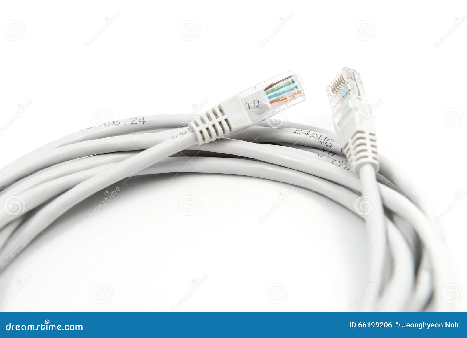 Wired LAN Cable on White stock photo. Image of internet - 66199206