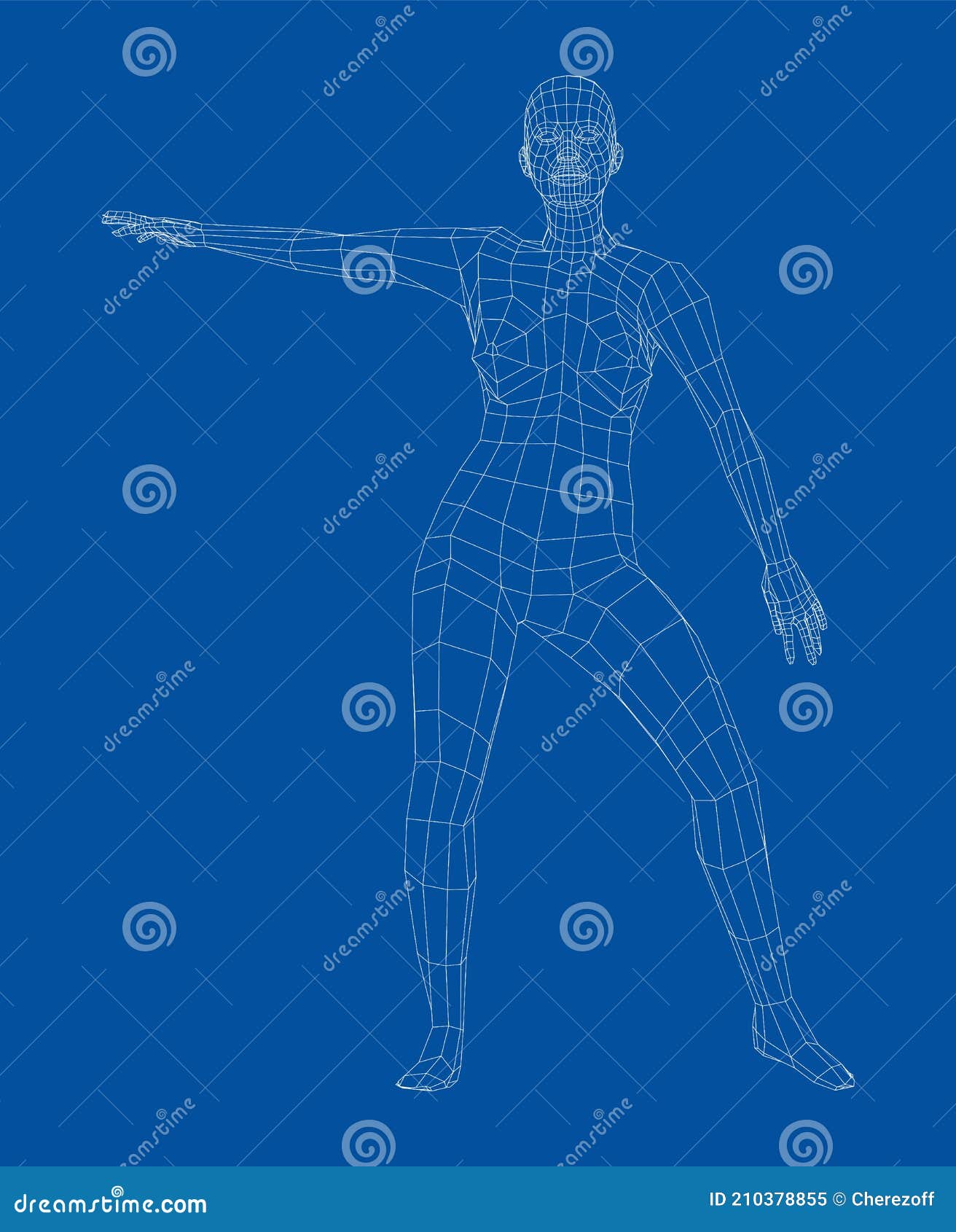 Wireframe Ballerina in Dance Pose. Vector Stock Vector - Illustration ...