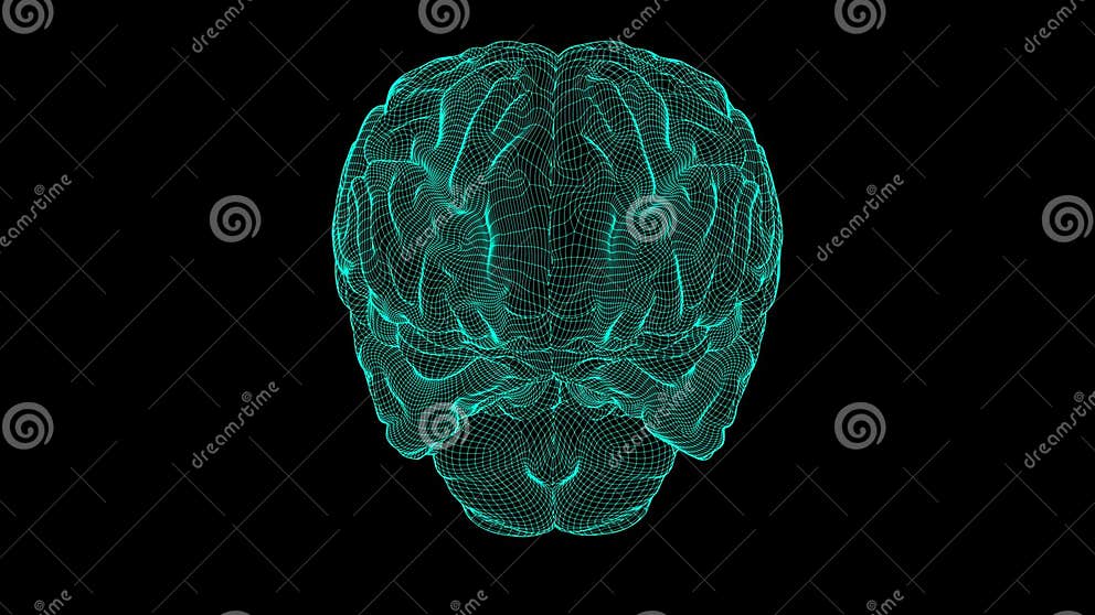 Wireframe brain 3D stock illustration. Illustration of conceptual ...
