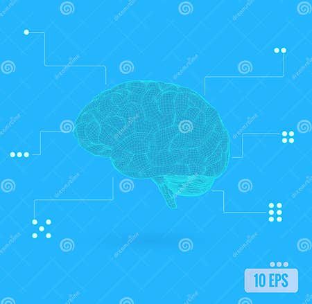 Wireframe Brain Illustration for Info Graphic Design Stock Vector ...