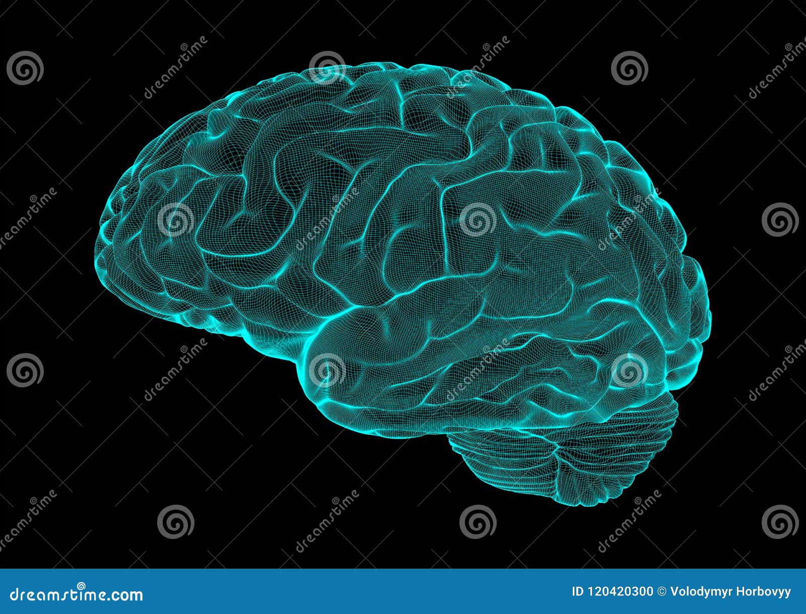 Wireframe brain vector stock vector. Illustration of concept - 120420300