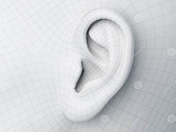A wireframe ear stock illustration. Illustration of background - 162296578