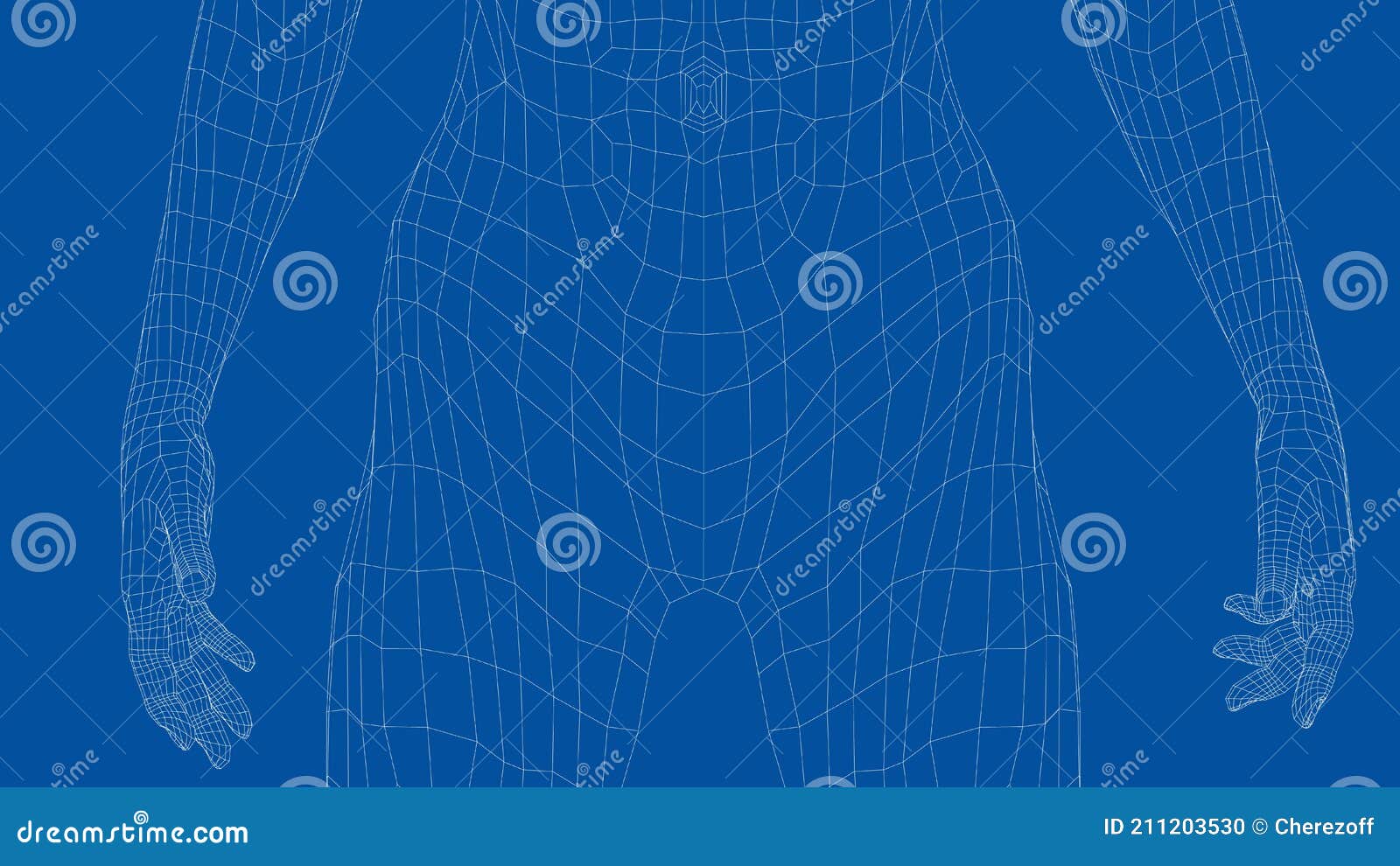 Wireframe Female Abdomen. Vector Stock Vector - Illustration of skin ...
