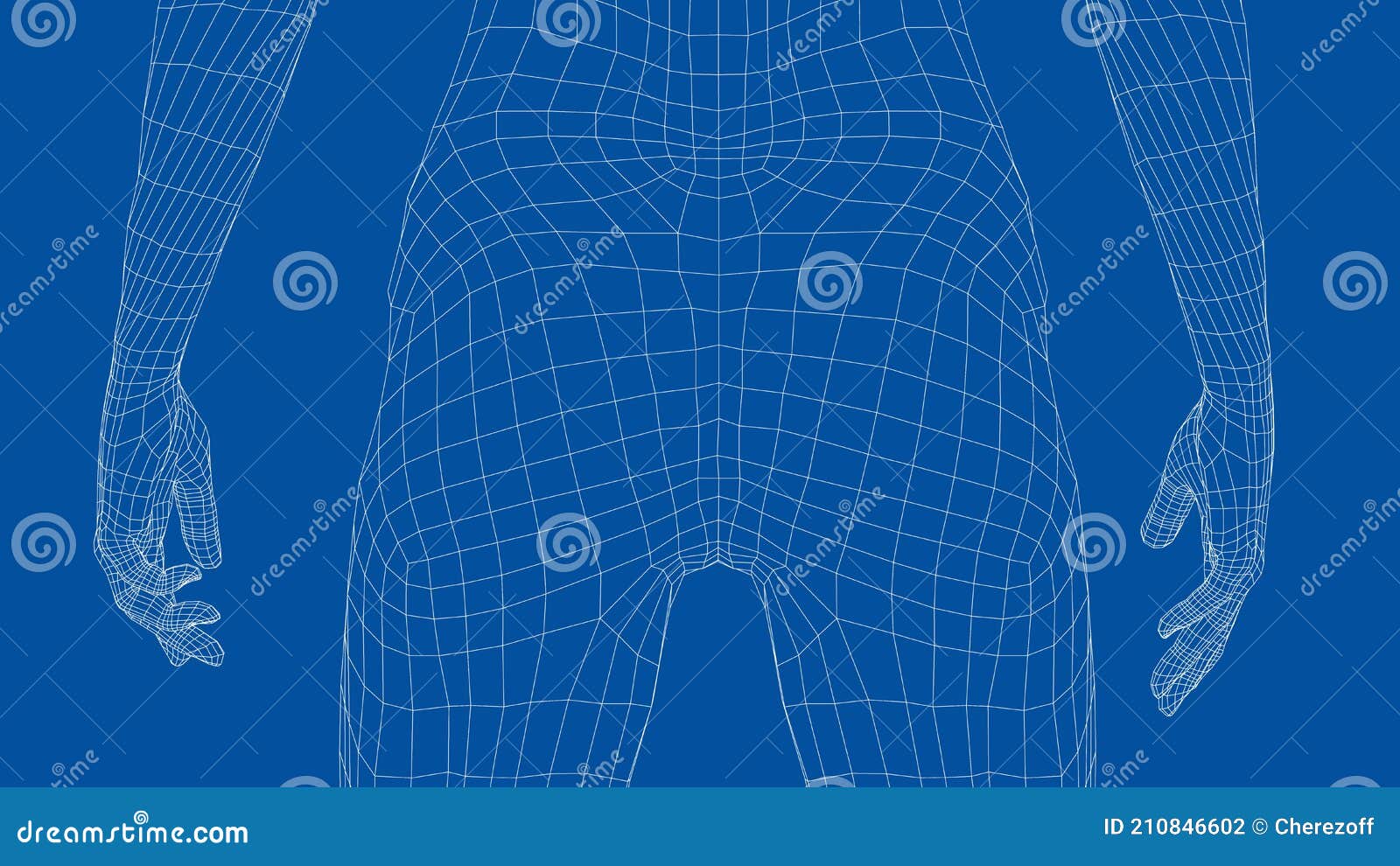 Wireframe Female Body. Vector Stock Vector - Illustration of people ...