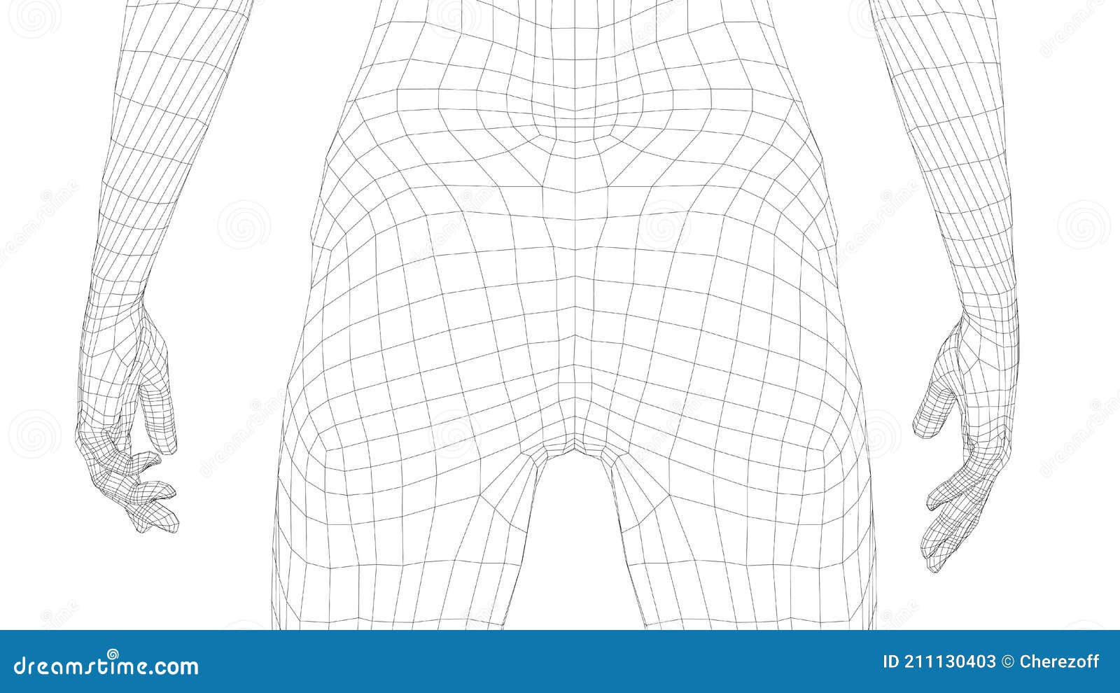 Wireframe Female Body. Vector Stock Vector - Illustration of girl ...