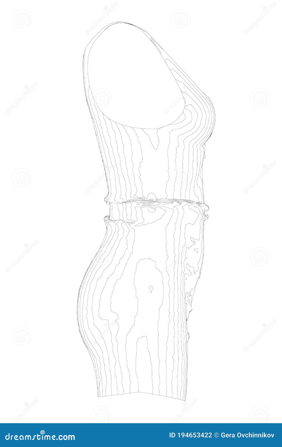 Wireframe of a Fitted Short Dress Made of Black Lines on a White ...