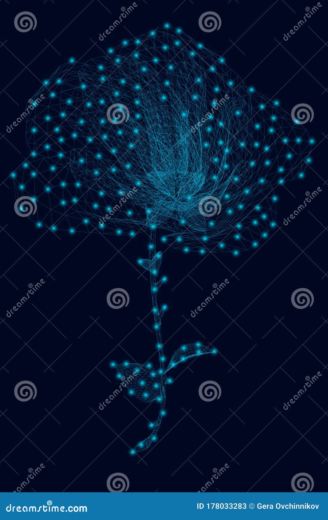 Wireframe of a Flower from Blue Lines with Luminous Lights on a Dark ...