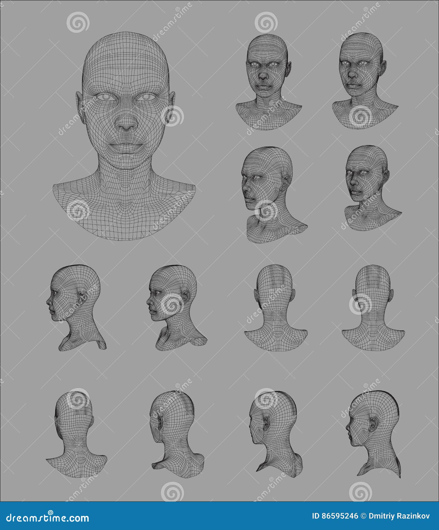Wireframe Head 3d Model Vector Illustration Stock Vector - Illustration ...