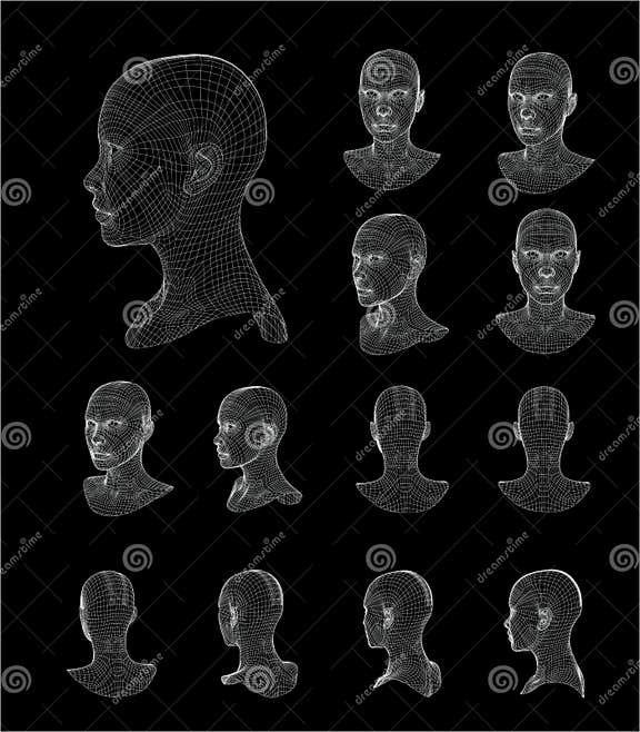 Wireframe Head 3d Model Vector Illustration Stock Vector - Illustration ...