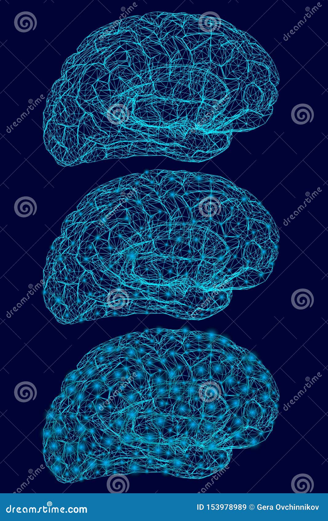 Wireframe of the Human Brain of the Blue Lines with Glowing Lights ...