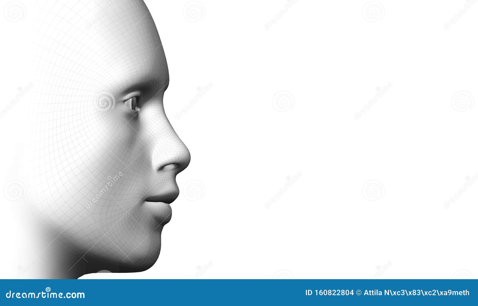 Wireframe Human Face. the Concept of Artificial Intelligence. Stock ...