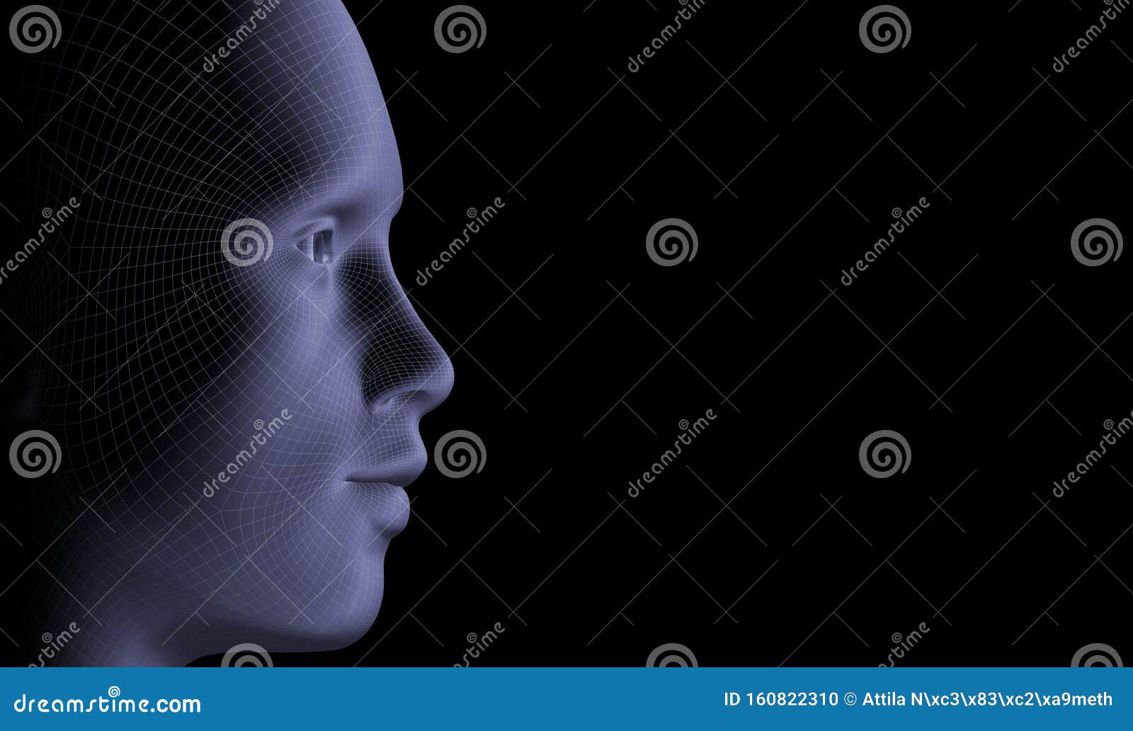 Wireframe Human Face. the Concept of Artificial Intelligence. Stock ...