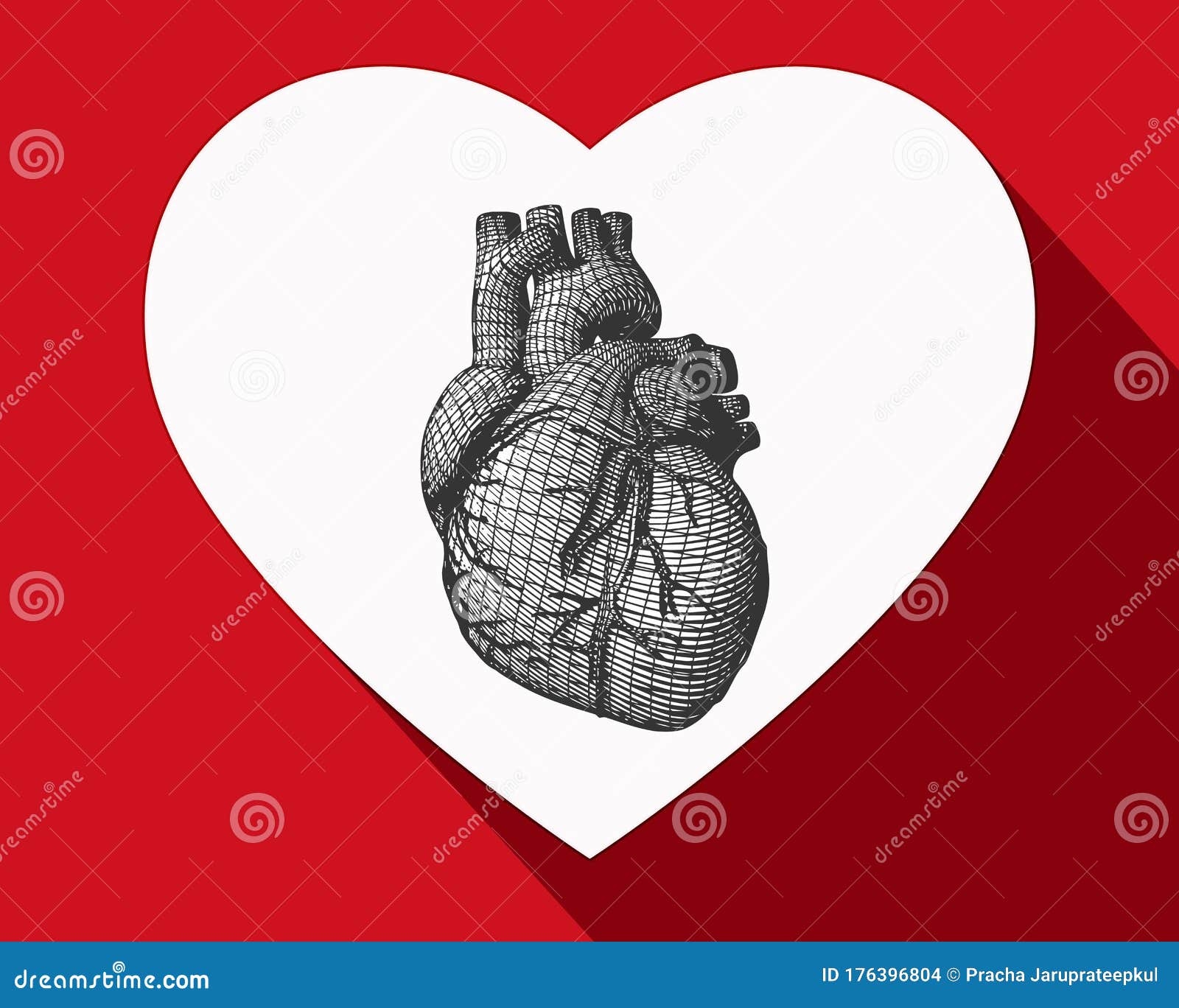 Wireframe Human Heart in Heart Symbol Shape Stock Vector - Illustration ...