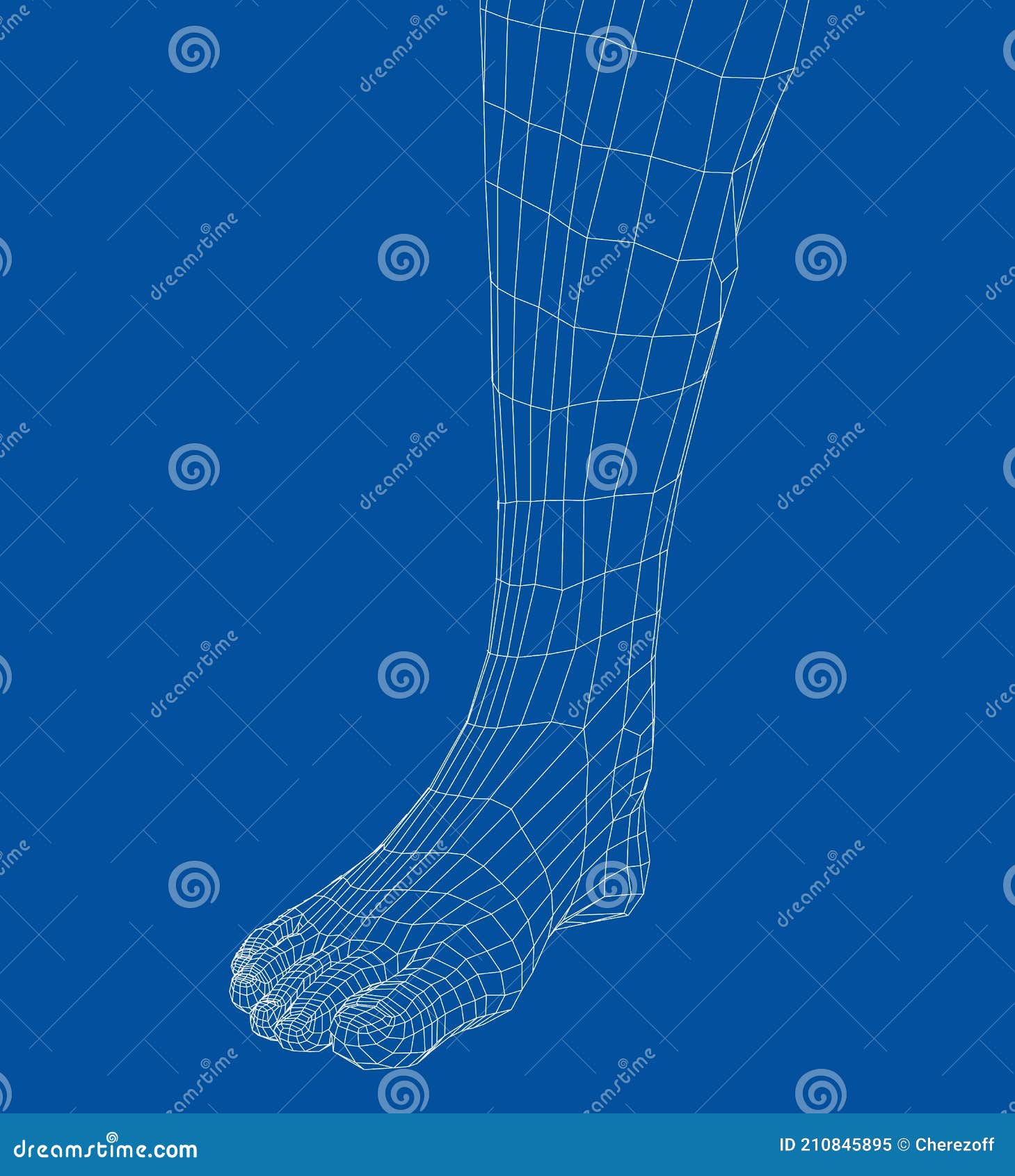 Wireframe Leg. Close-up View Stock Vector - Illustration of beautiful ...