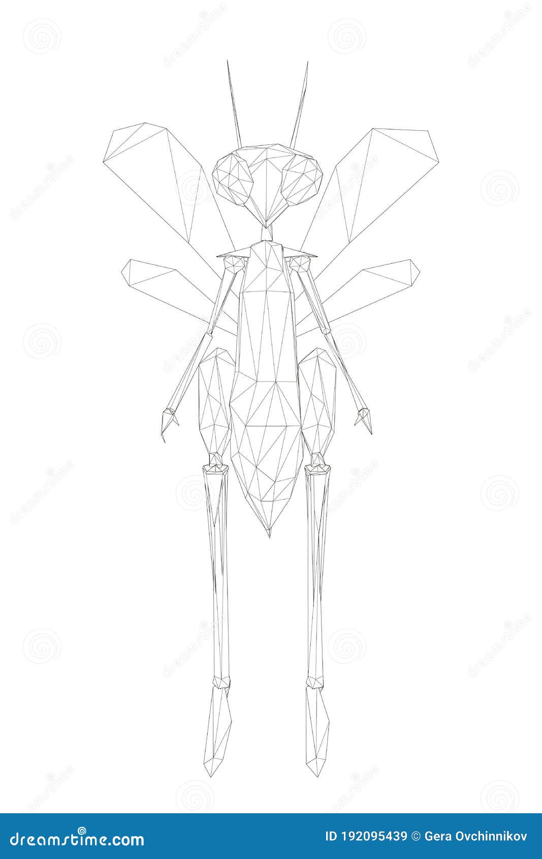 Wireframe Low Poly Humanoid Dragonfly. the Line Beetle Stands on Two ...