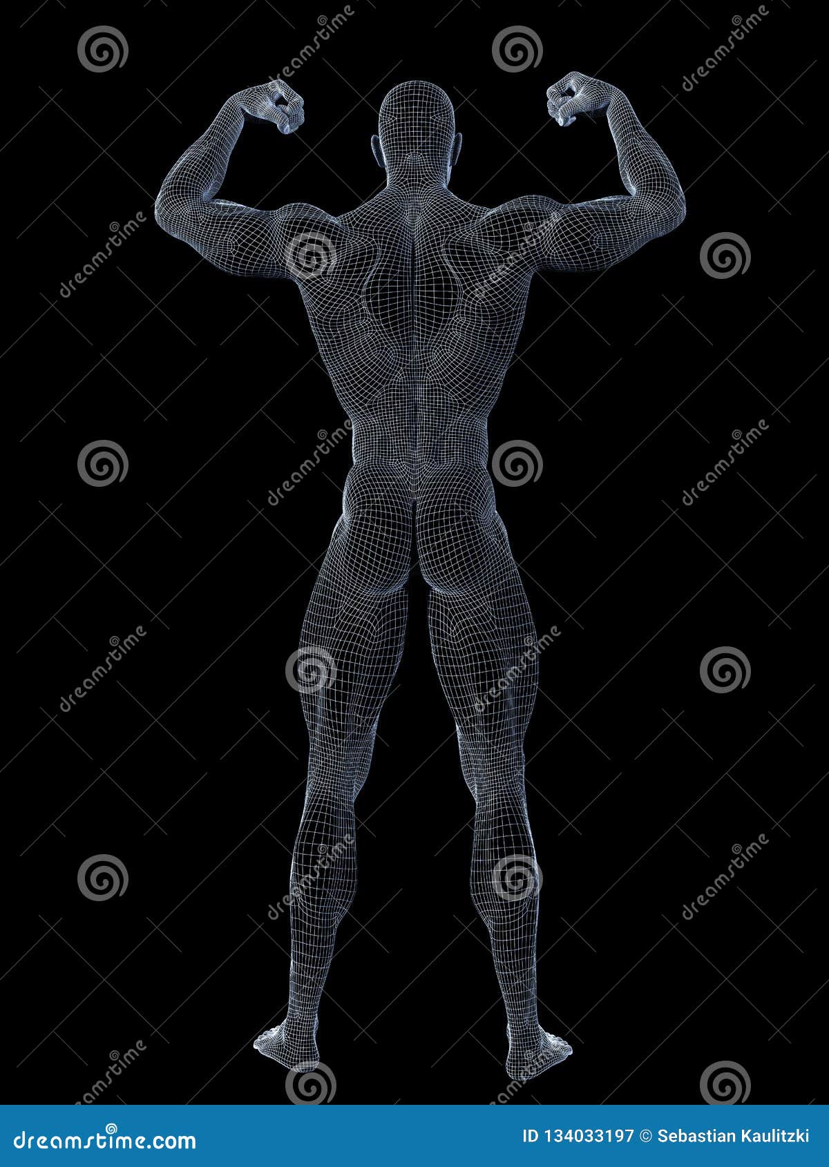 A wireframe man stock illustration. Illustration of graphic - 134033197