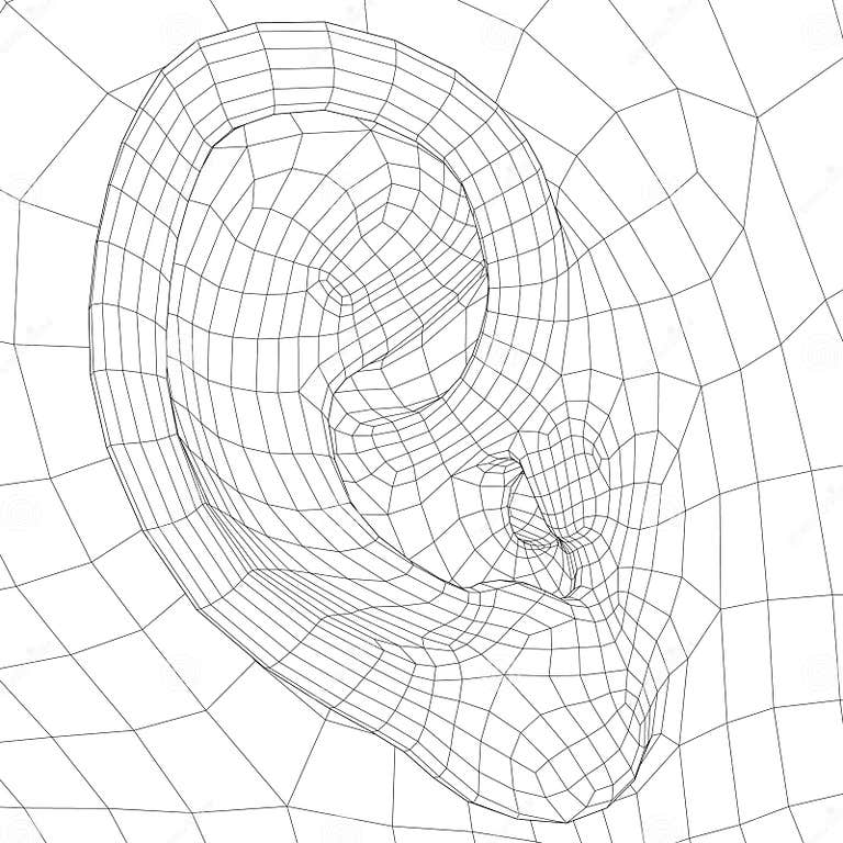 Wireframe Model of the Human Ear. Side View. 3D Stock Vector ...