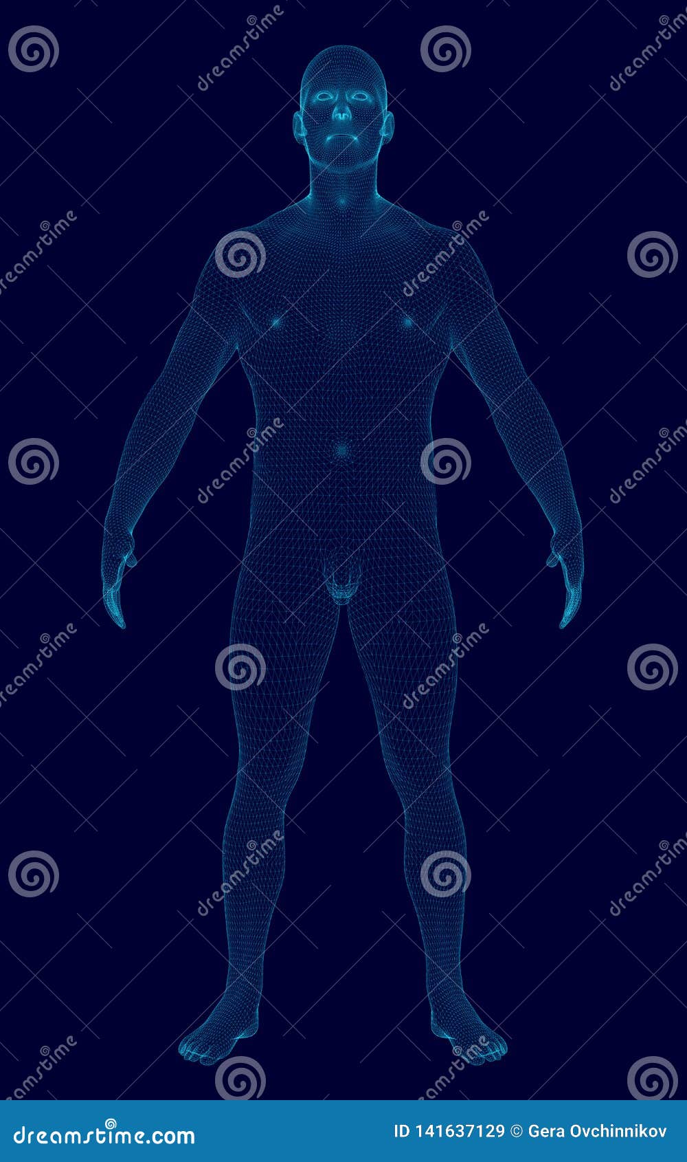 Wireframe Model Man of Blue Lines on a Dark Background. Front View. 3D ...
