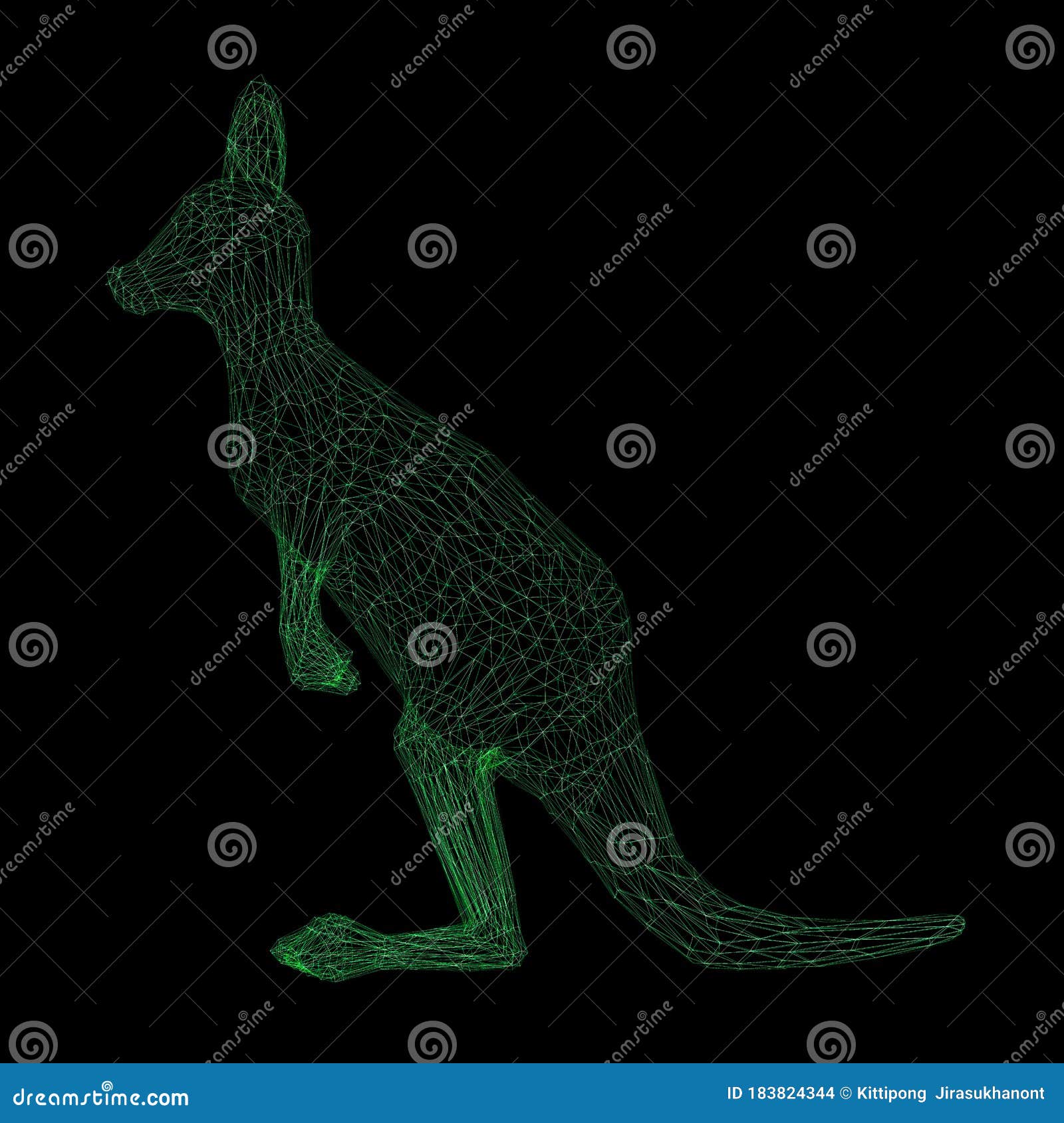 Wireframe Polygonal Kangaroo Stock Illustration - Illustration of ...