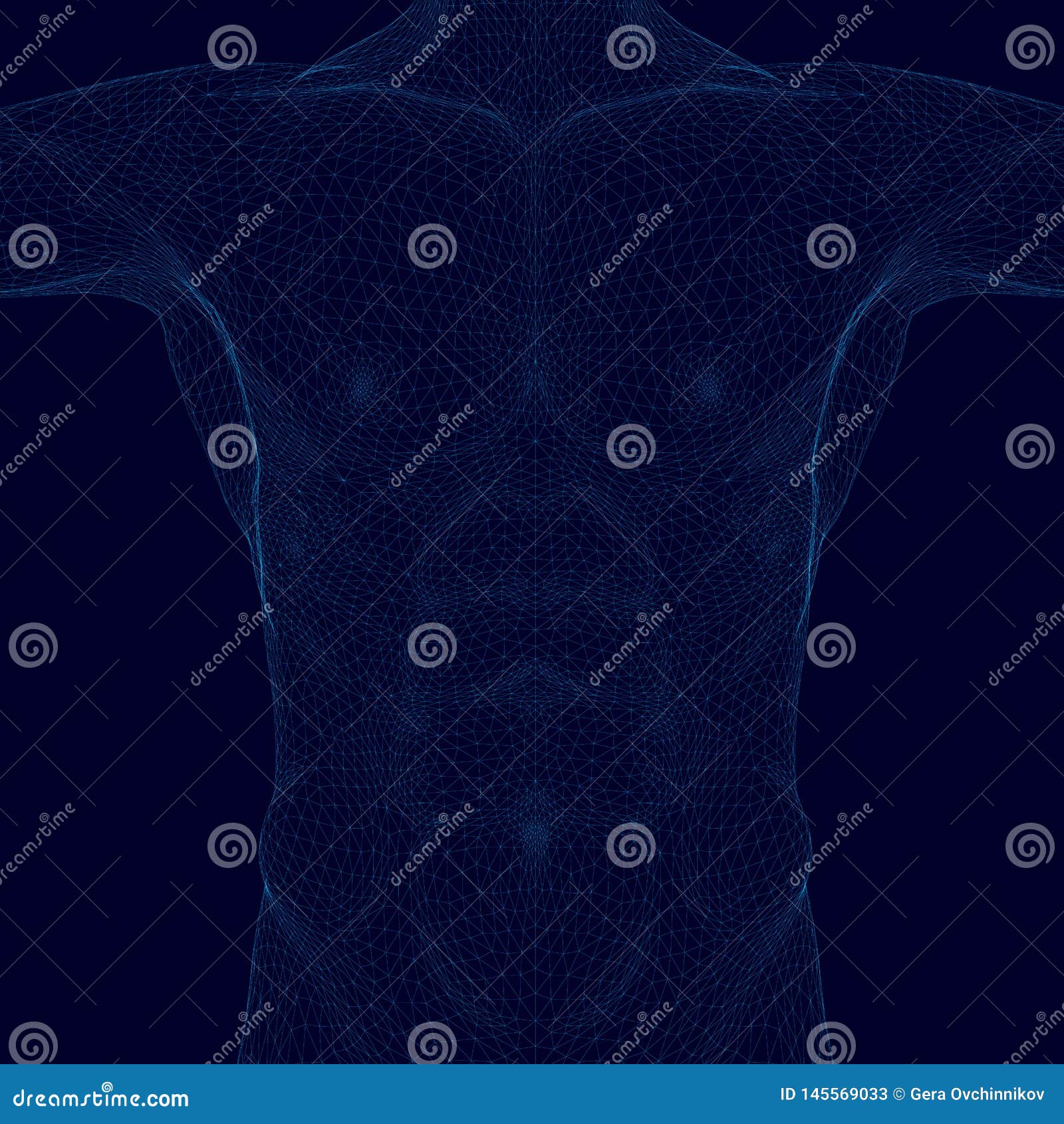 Wireframe Polygonal Torso Man. Body of a Man of Blue Lines on a Dark ...