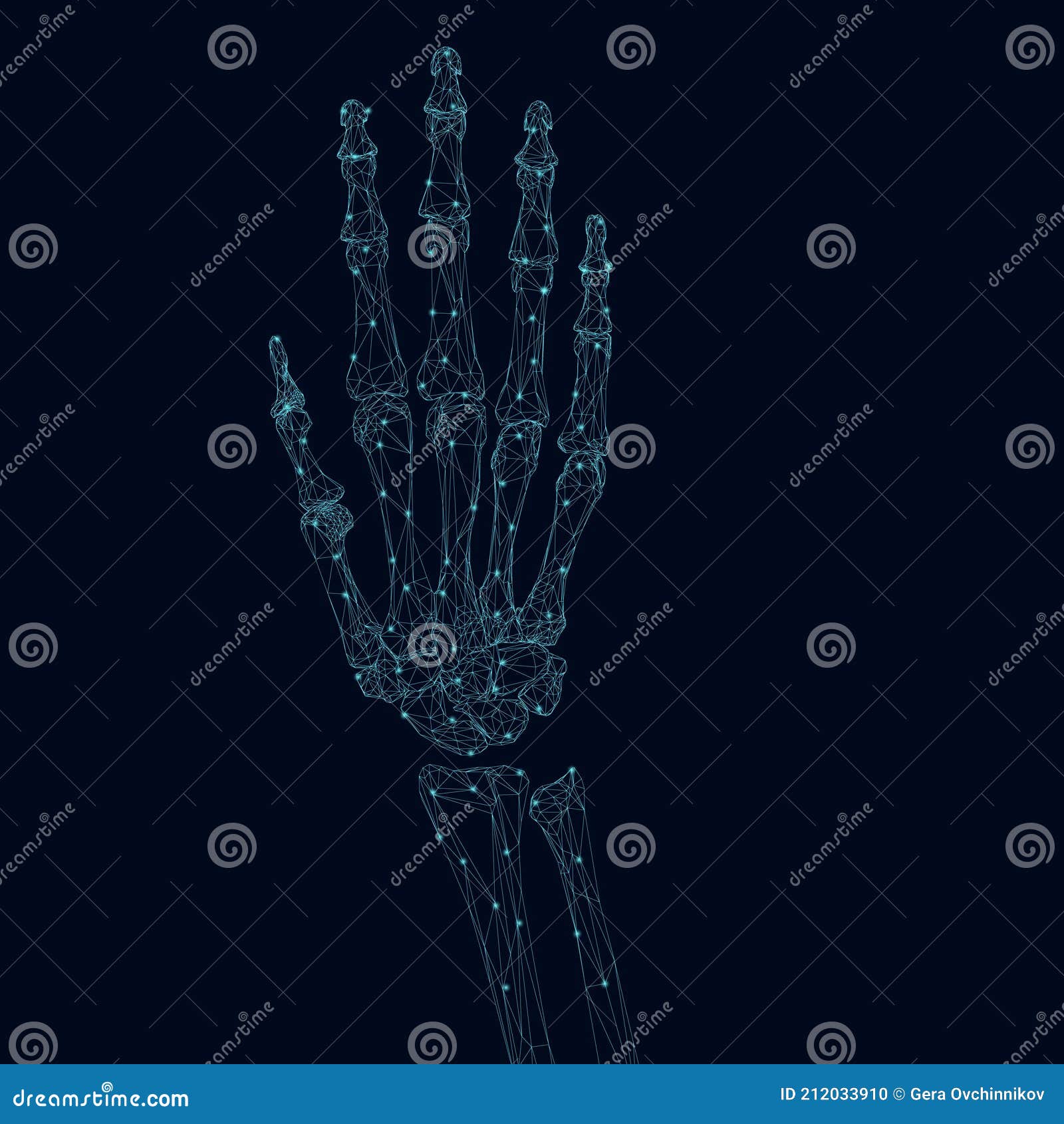 Wireframe of the Skeleton of a Human Hand Made of Blue Lines with ...