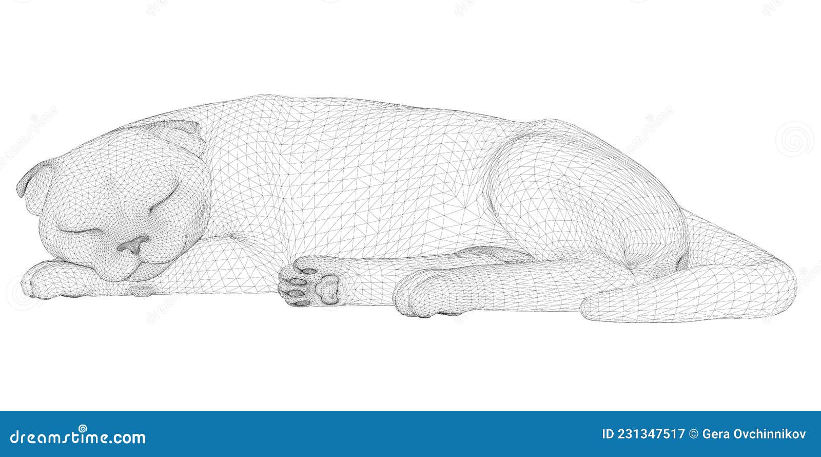 Wireframe of a Sleeping Cat from Black Lines Isolated on a White ...