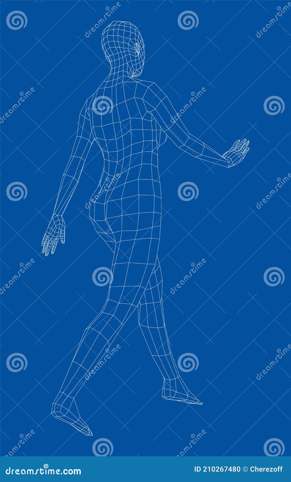 Wireframe Walking Woman. Vector Stock Vector - Illustration of ...