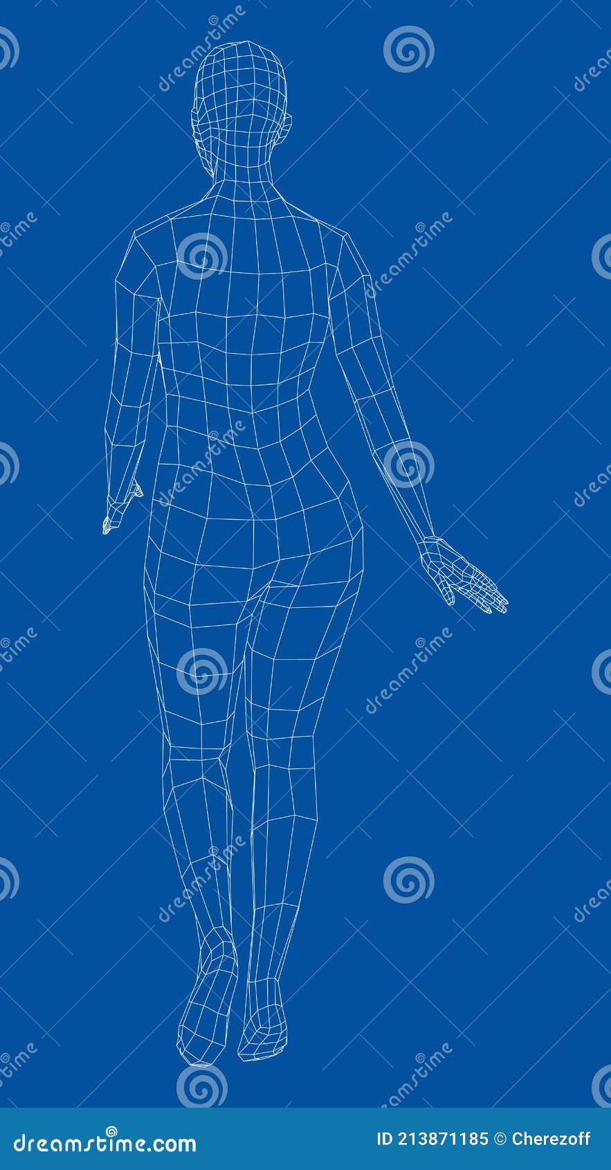 Wireframe Walking Woman. Vector Stock Vector - Illustration of outline ...