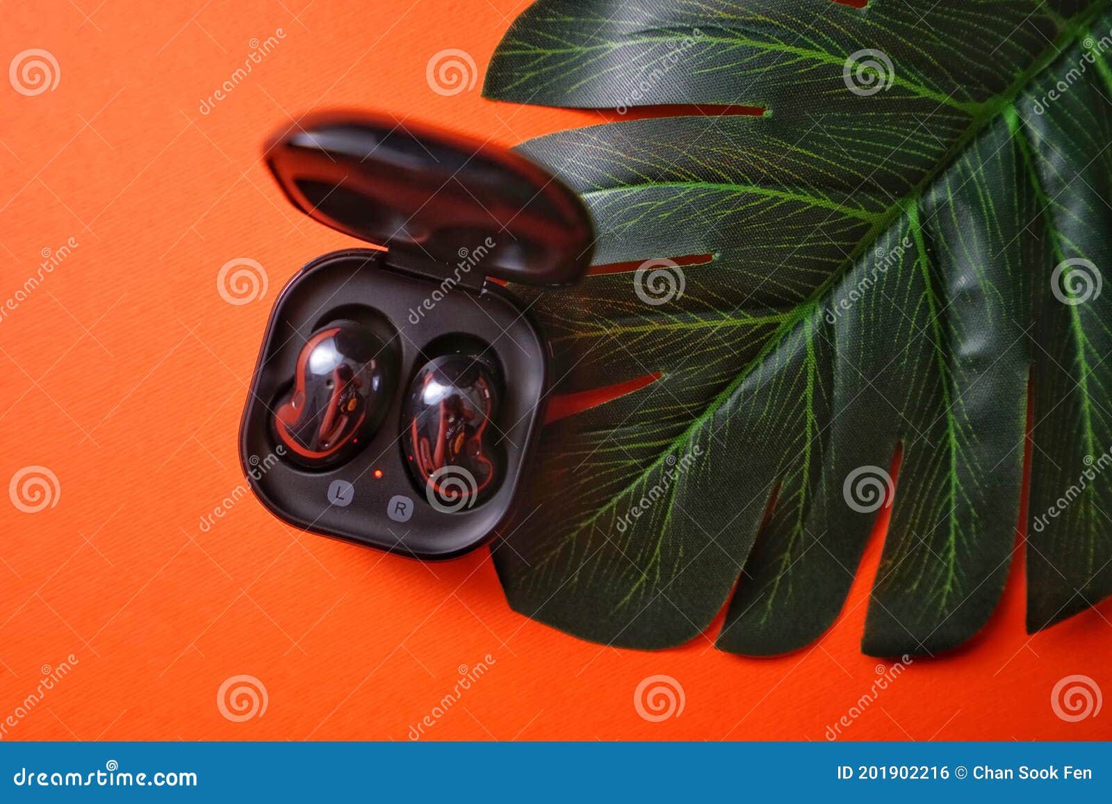 Wireless Earbuds Inside the Case Stock Photo - Image of case, glasses ...