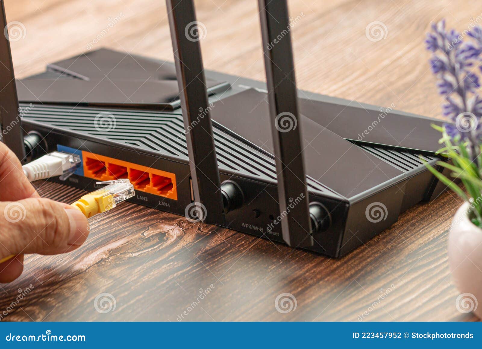 Wireless Internet Router with Connected Cables, the Backside of Fiber ...