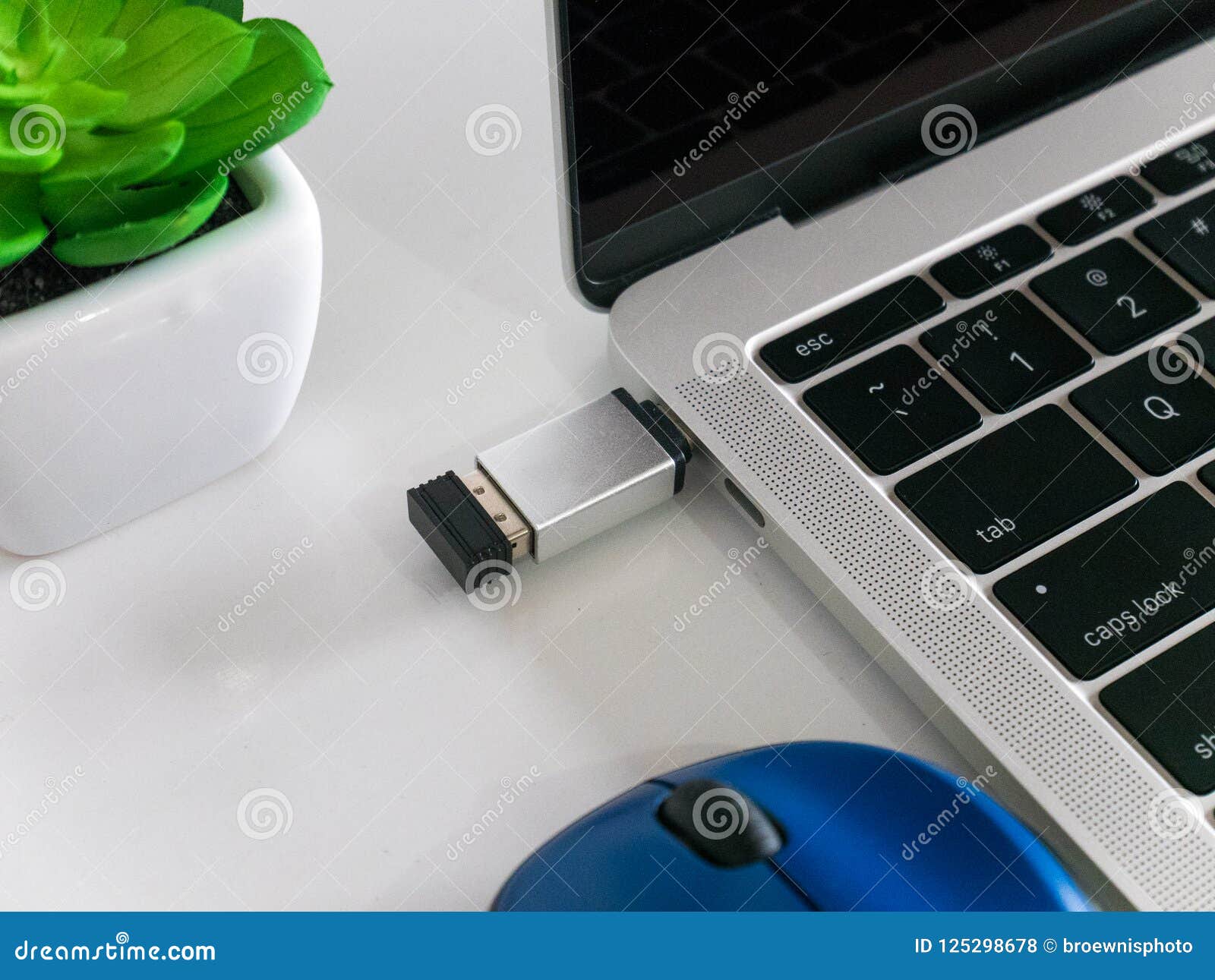 Wireless Mouse Nano Receiver with a USB Type-C Adapter Converter Stock ...