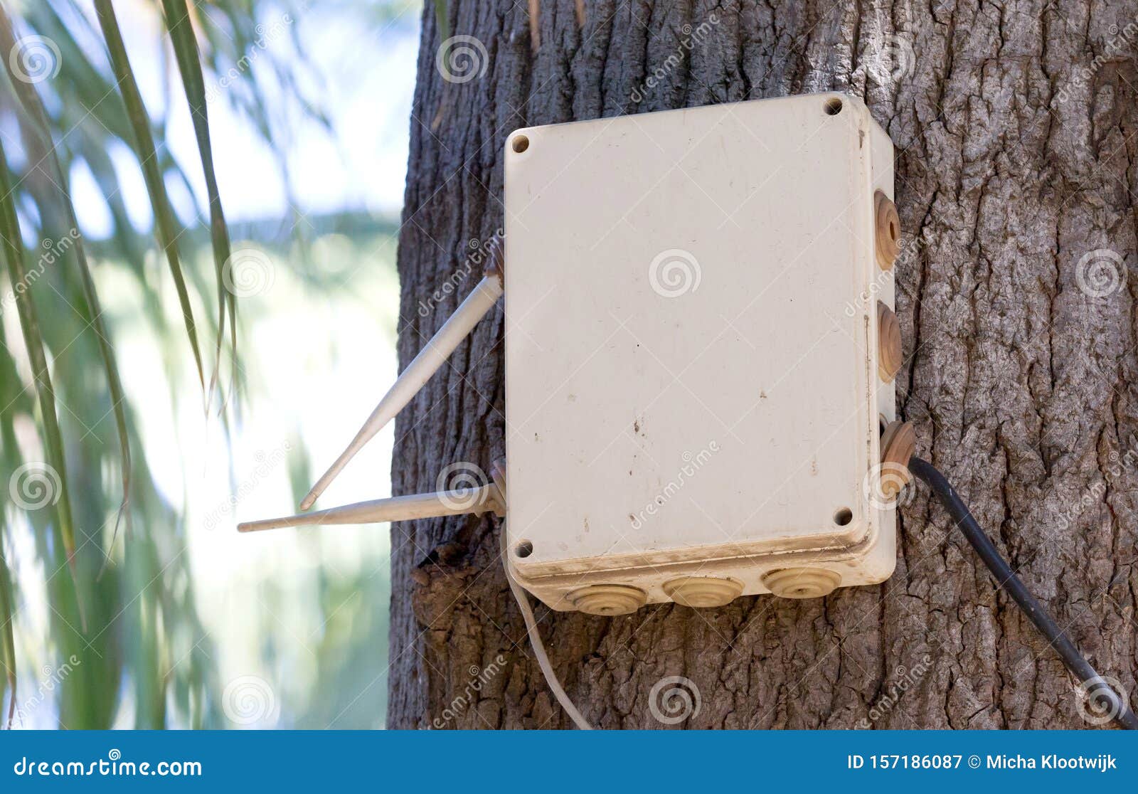 Wireless Router Hanging in a Tree Stock Image - Image of wireless ...