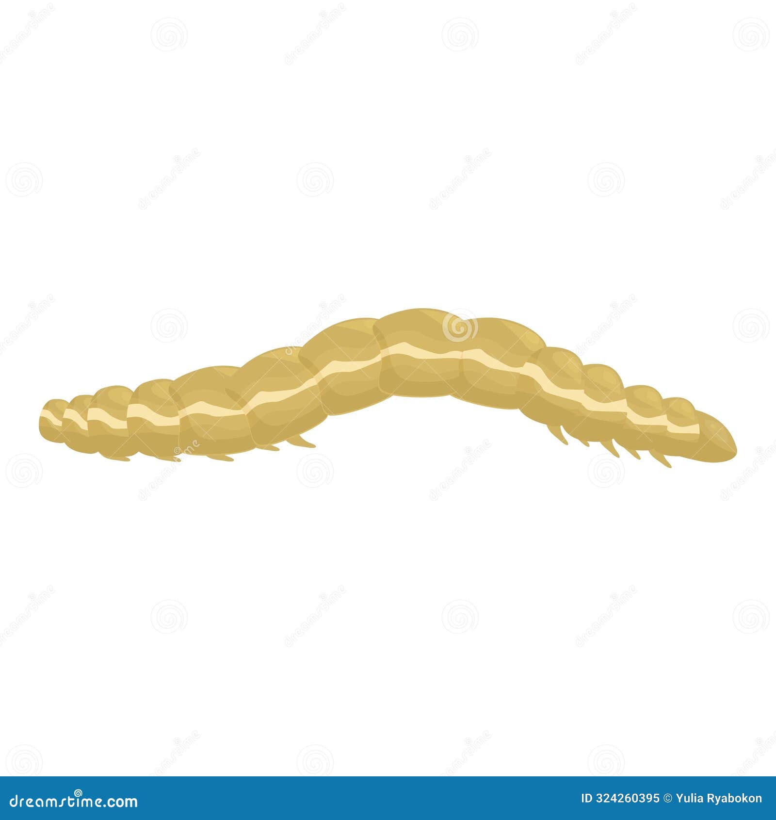 Wireworm Larva Crawling on White Background Stock Vector - Illustration ...