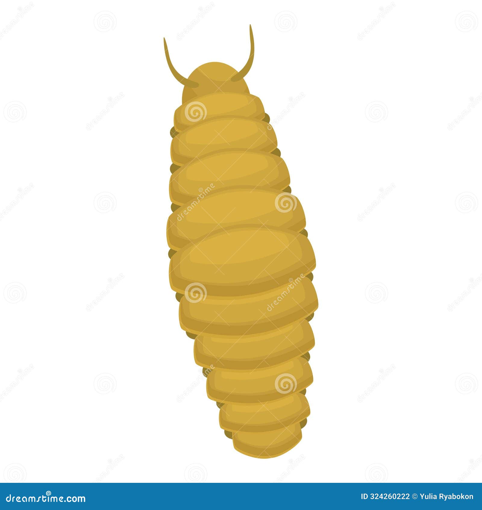 Wireworm Larvae With Segmented Body Isolated On White Background Vector ...