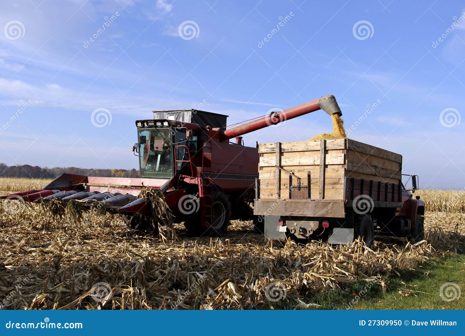 Wisconsin corn harvest stock photo. Image of stalks, haul - 27309950