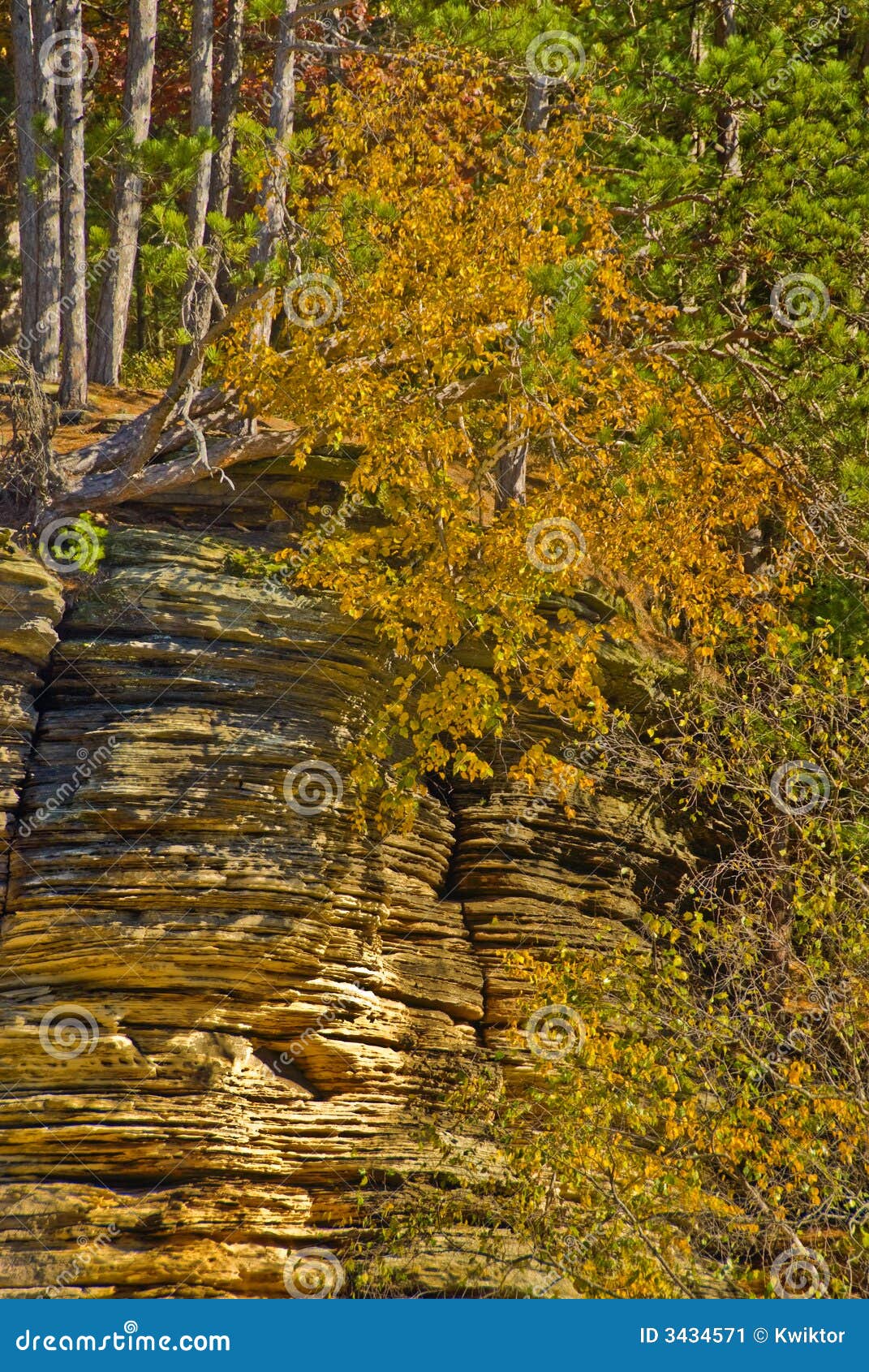 Wisconsin Dells stock image. Image of alga, fall, geologic - 3434571