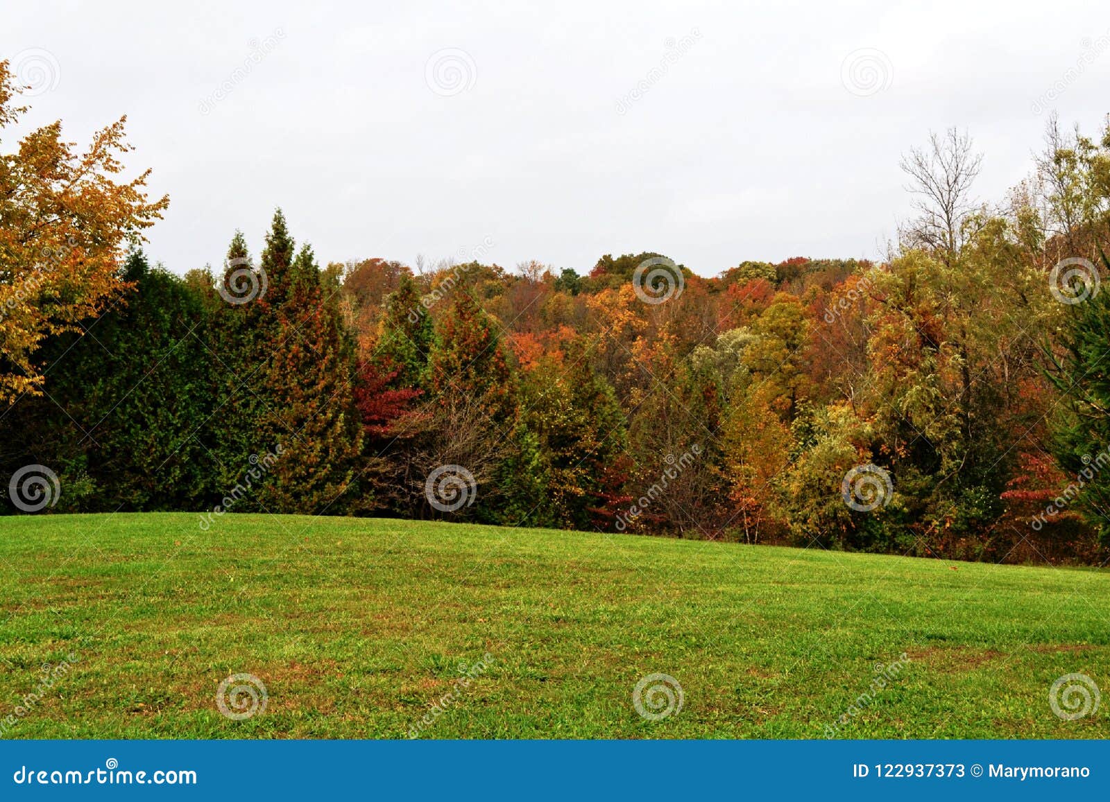Wisconsin Landscape in Autumn Stock Image - Image of beautiful, autumn ...