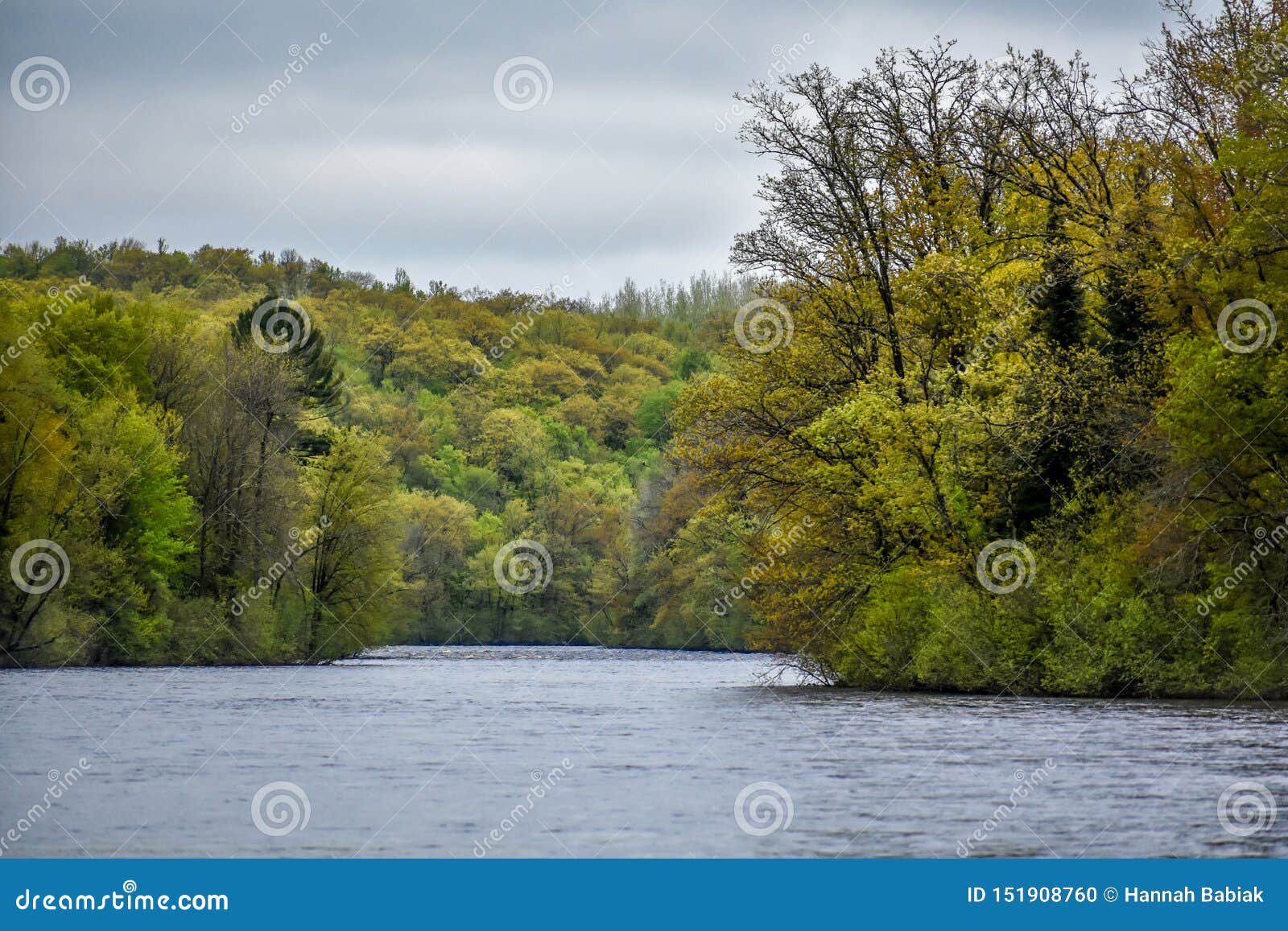 The Wisconsin River with Forest Stock Photo - Image of lots, rapidly ...