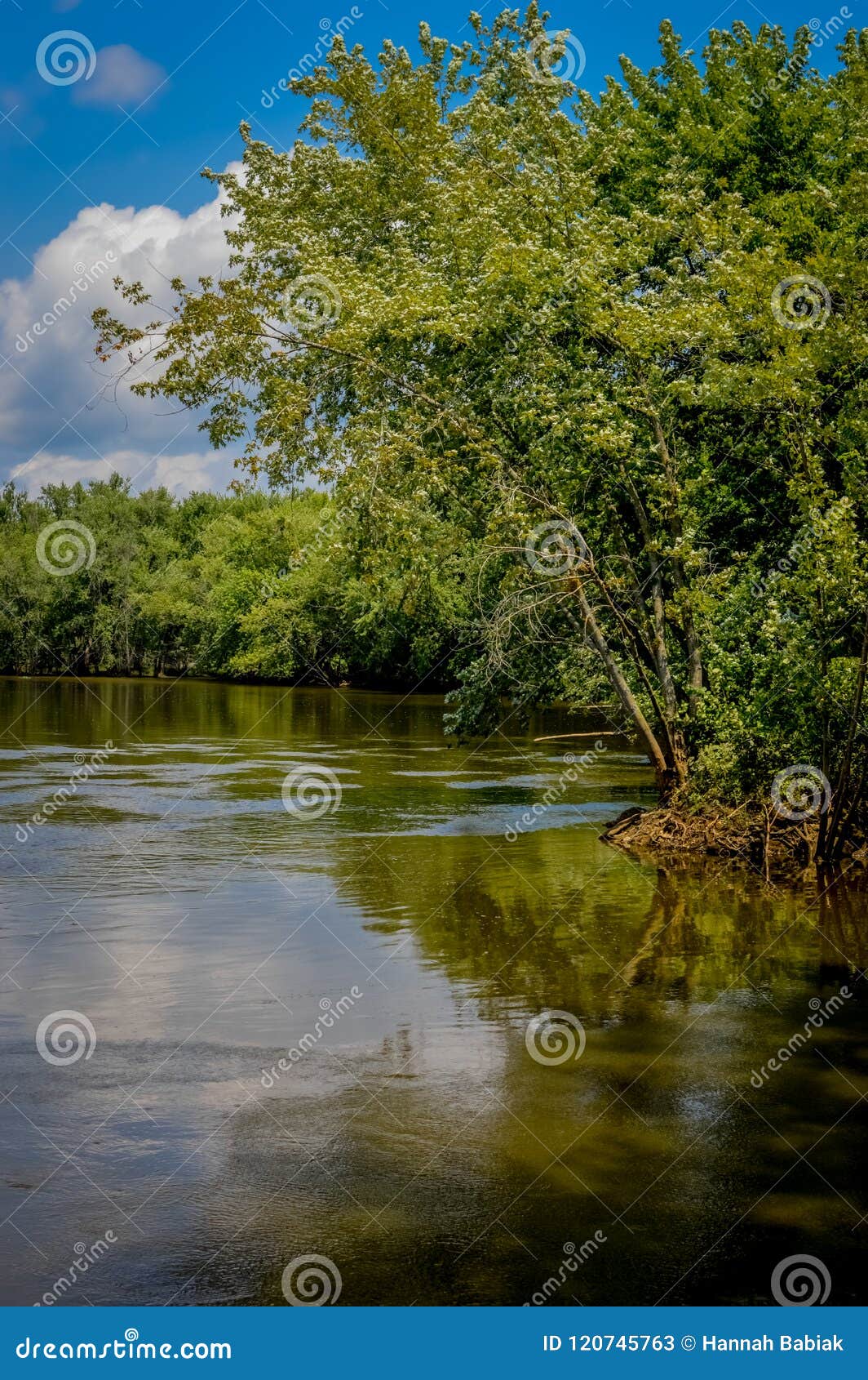 The Wisconsin River with Reflections Stock Image - Image of landscape ...