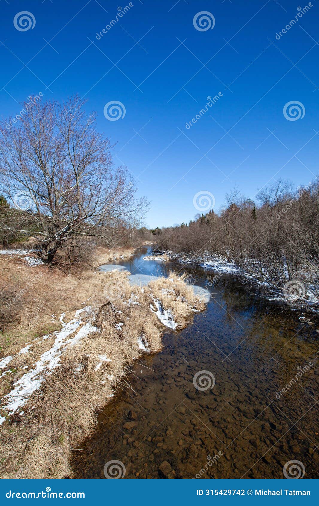 Wisconsin Stream and Forest with a Little Snow Stock Photo - Image of ...