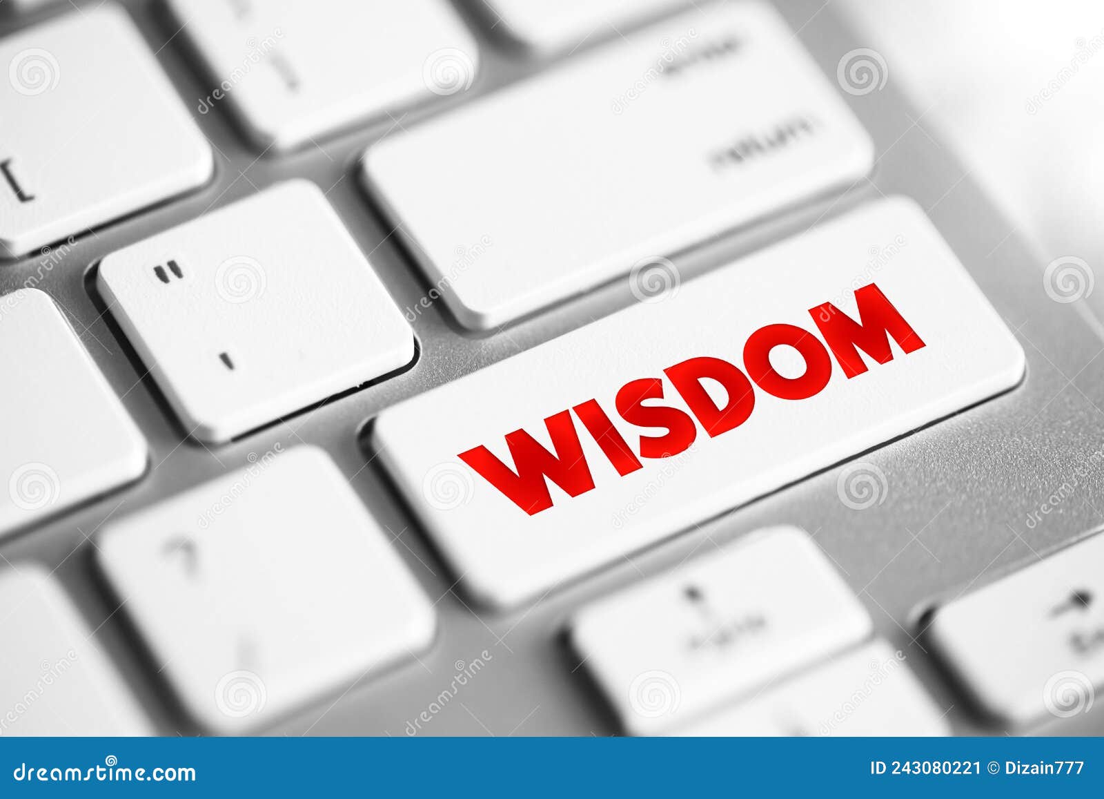 Wisdom - Ability To Contemplate And Act Using Knowledge, Experience ...
