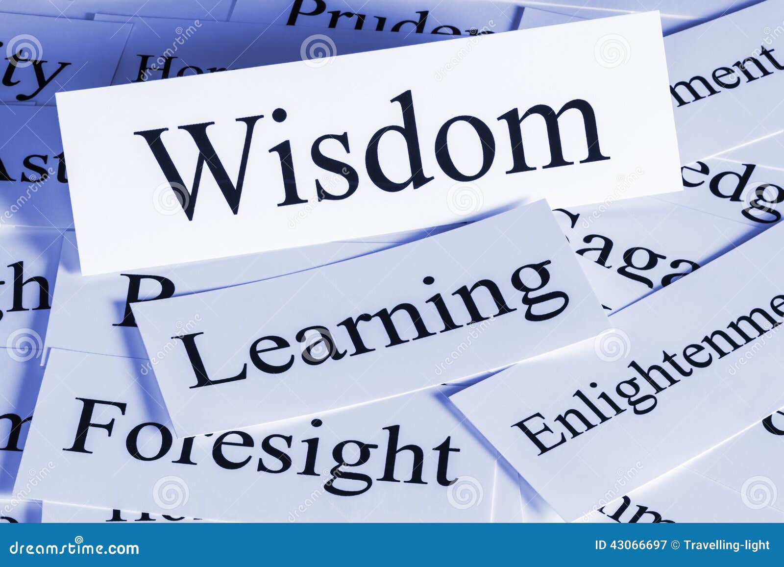 Wisdom Concept In Words Stock Photo | CartoonDealer.com #127283580