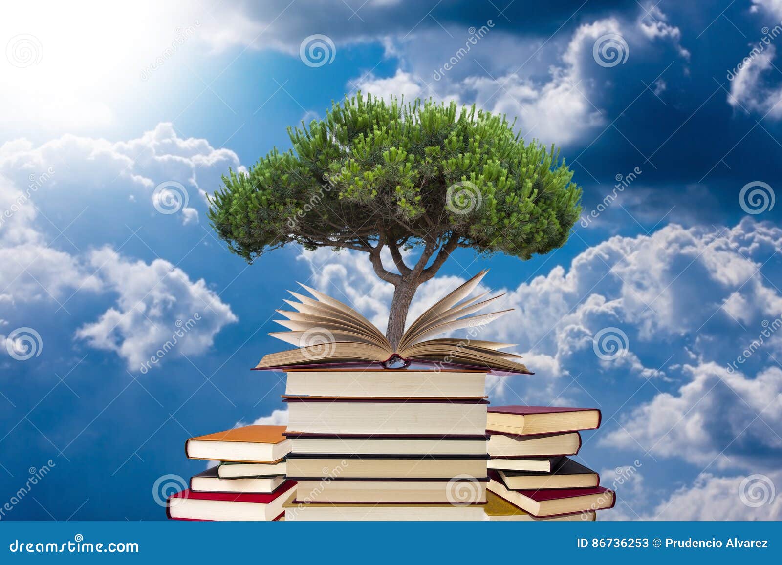 Wisdom concepts stock illustration. Illustration of education - 86736253