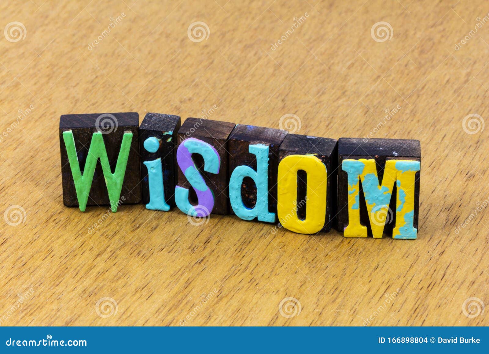 Wisdom Knowledge Education Learn Wise Intelligence Imagination Smart ...