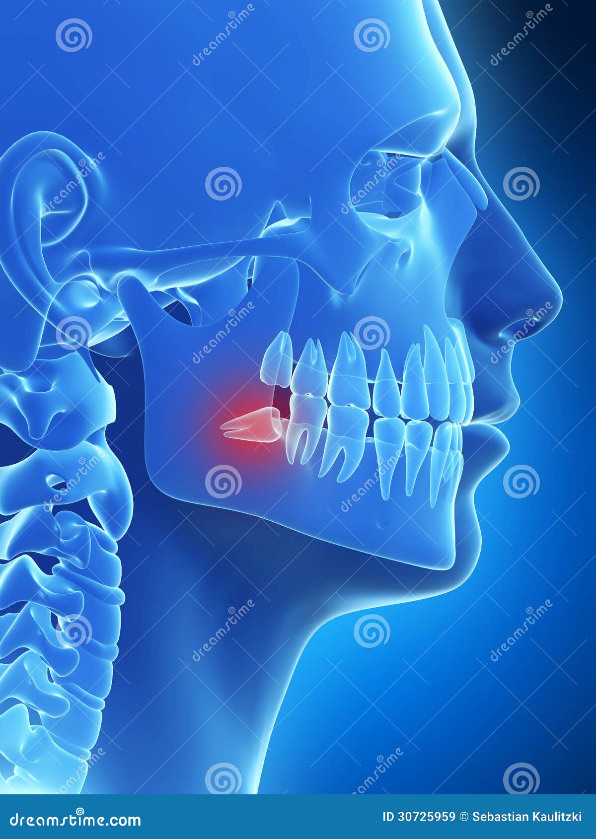 Wisdom Cartoons, Illustrations & Vector Stock Images - 362677 Pictures ...