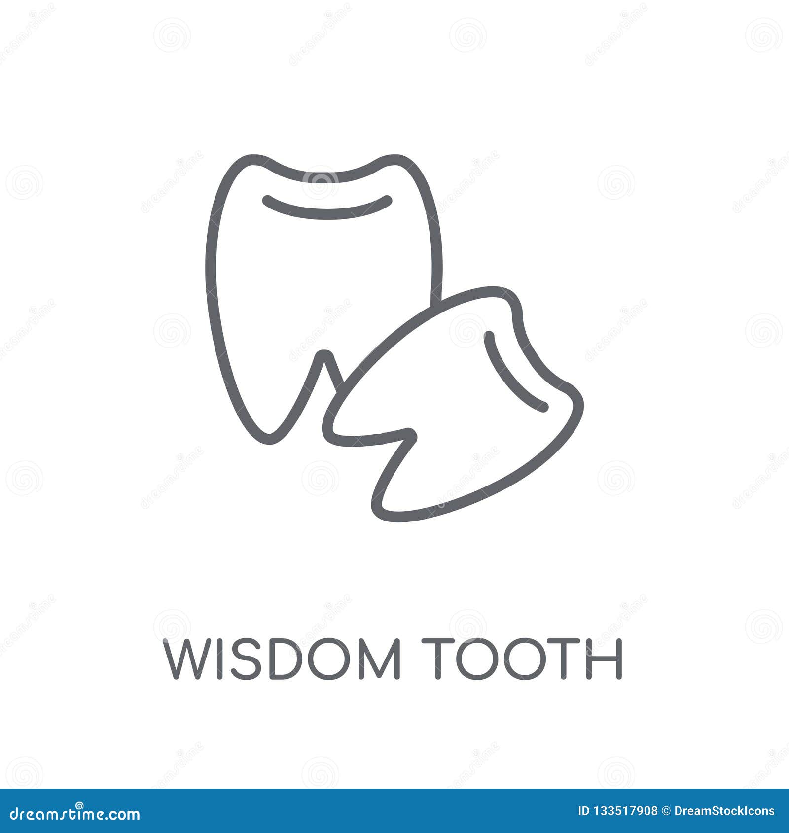Wisdom Tooth Linear Icon. Modern Outline Wisdom Tooth Logo Conce Stock ...