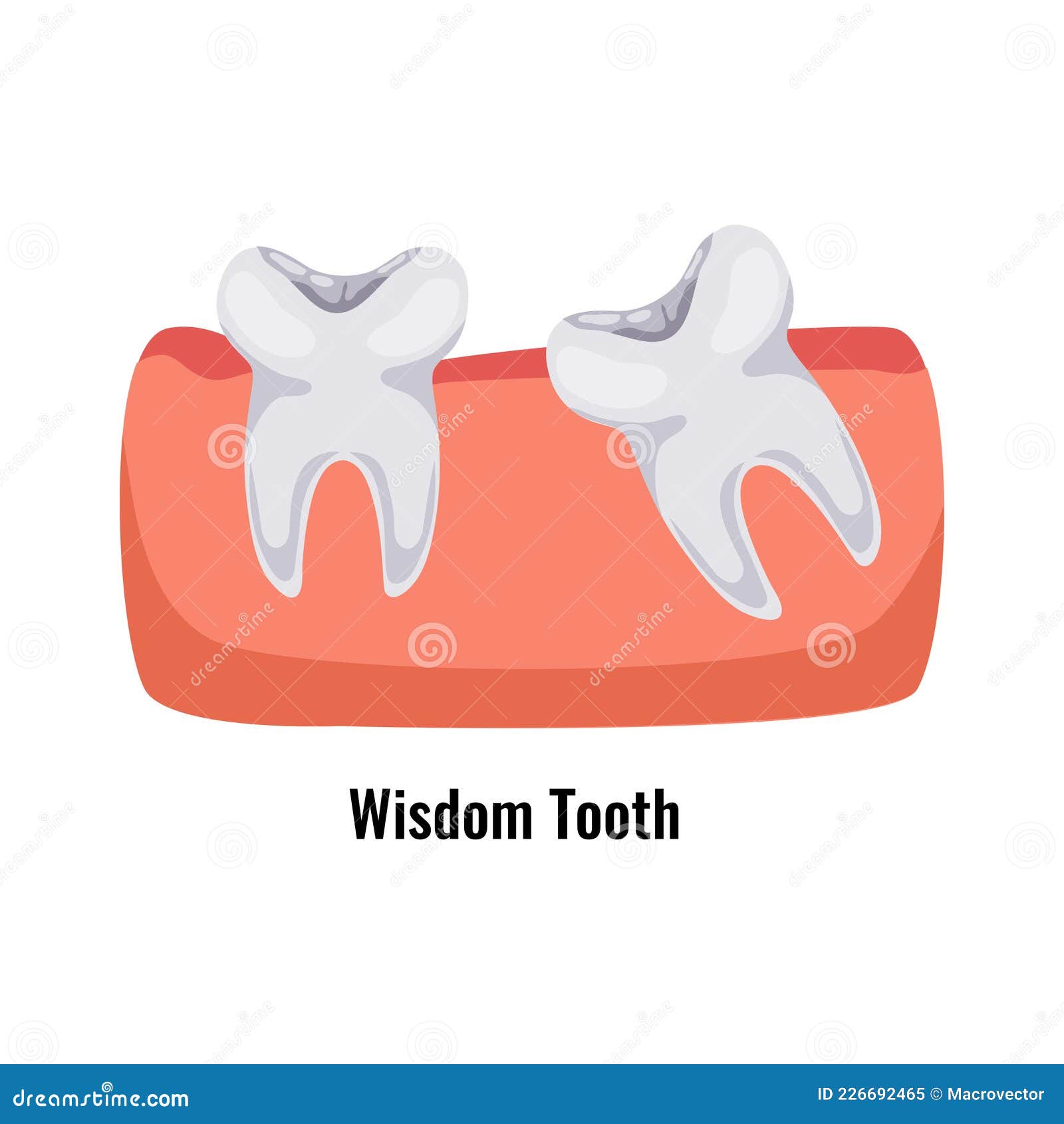 Wisdom Tooth Thin Line Icon. Malocclusion Problem, Crooked Teeth Symbol ...