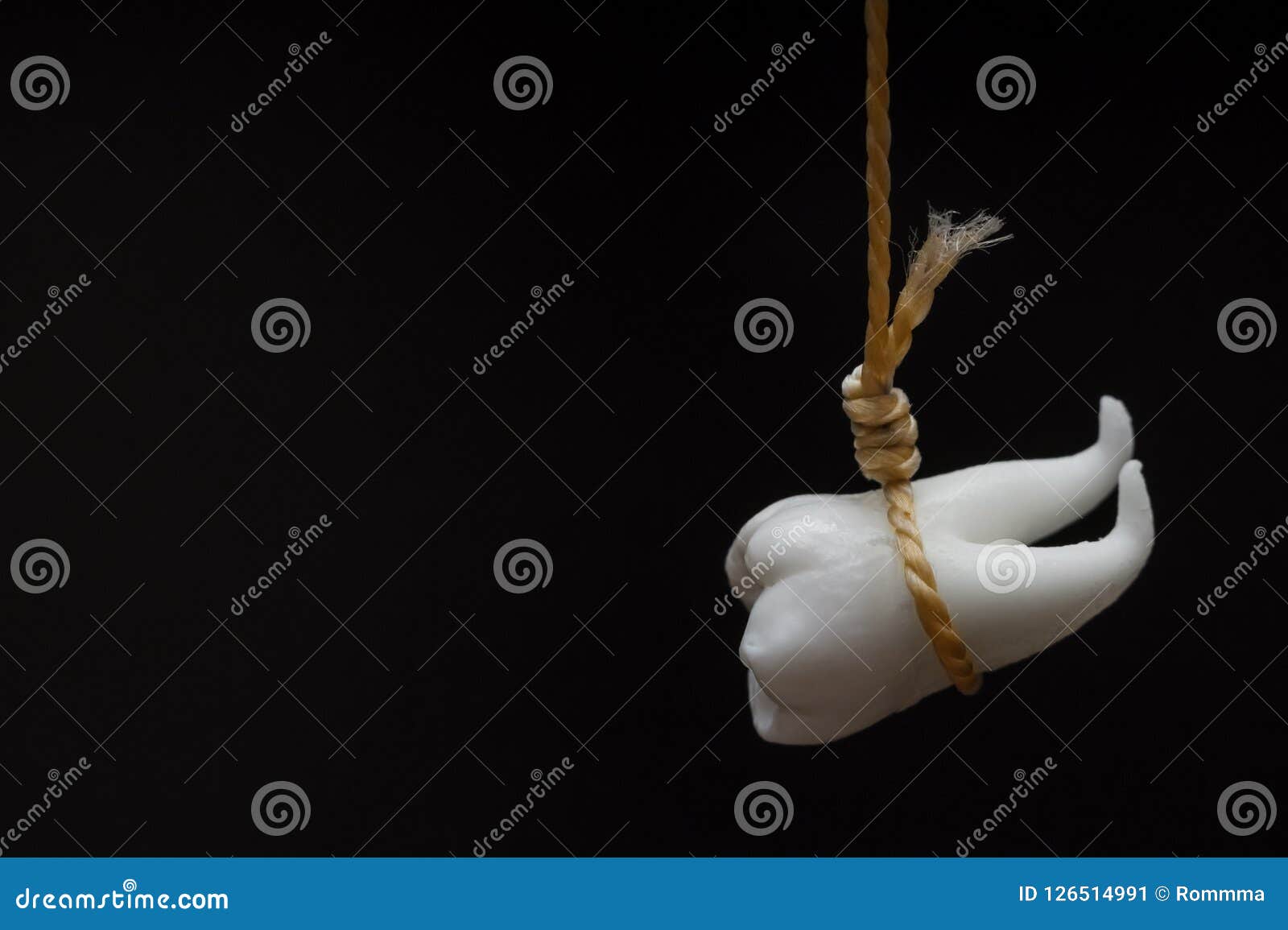 A wisdom tooth stock image. Image of hygiene, rope, straight - 126514991